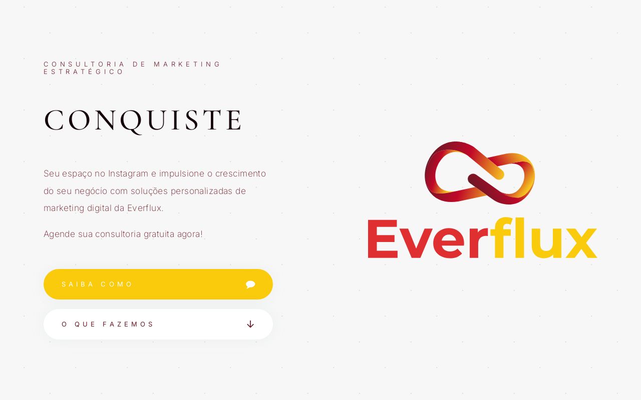 Everflux - Elevando negócios, conectando pessoas